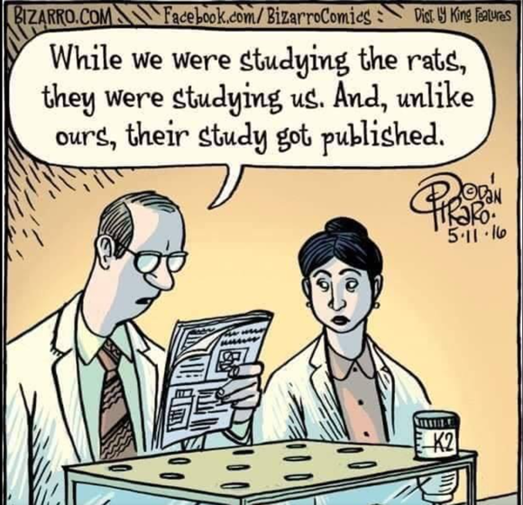 While we were studying the rats… - Emanuel V. Towfigh